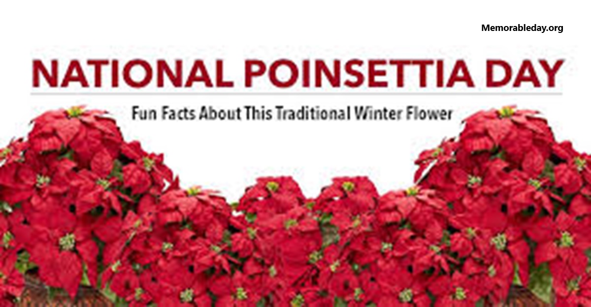 Celebrate National Poinsettia Day